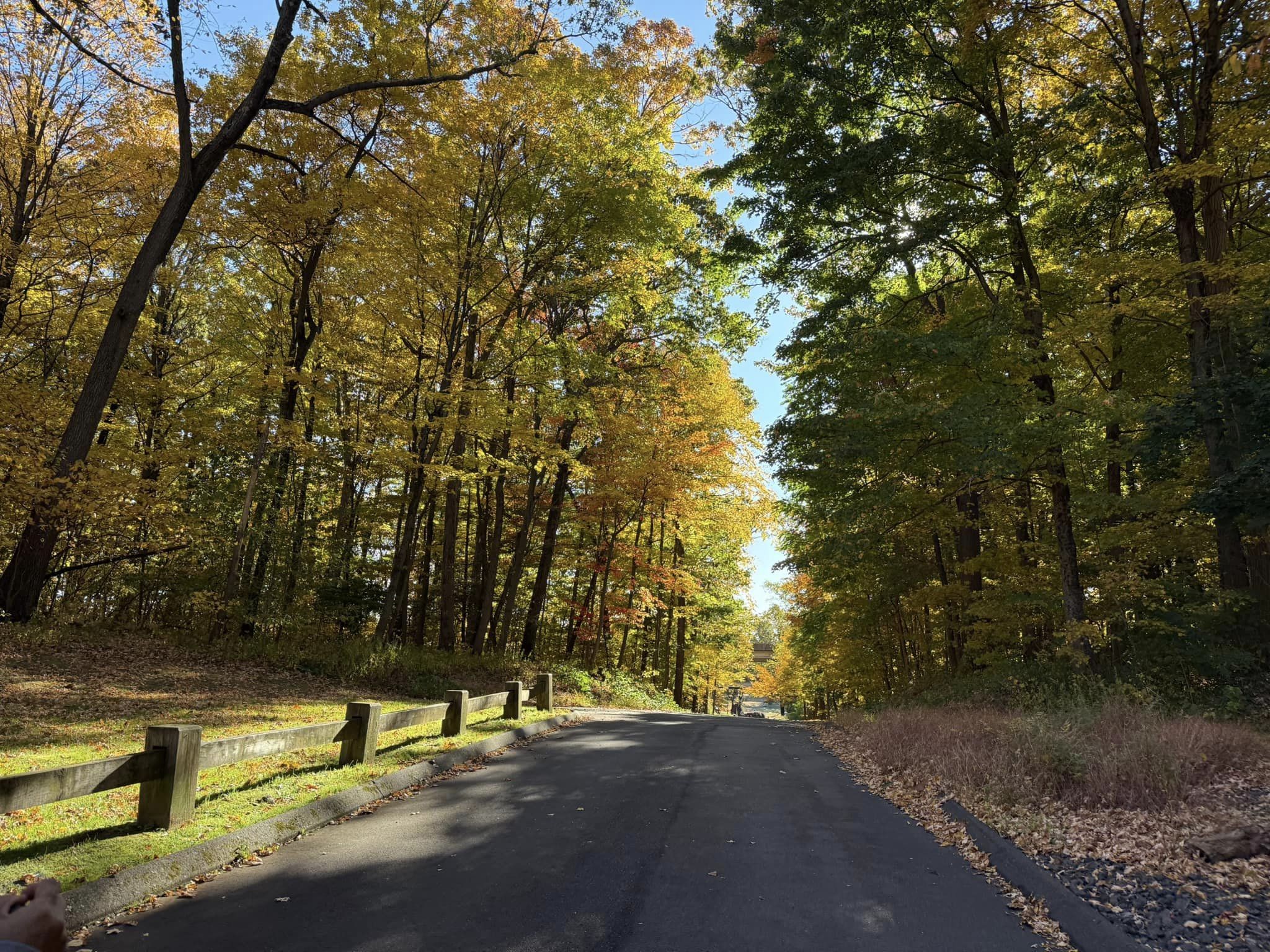 A Memorable Hike at Hubbard Park - Holy Apostles College & Seminary
